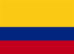 Colombia - Human Rights Committee - Gender-Based Violence and Access to ...