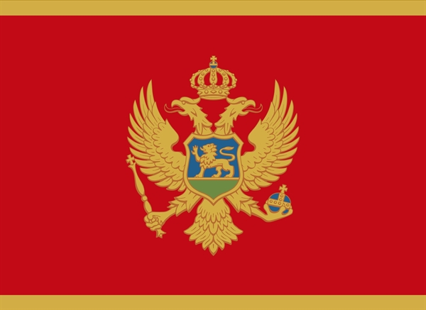 Montenegro - Human Rights Committee - Domestic Violence (List of Issues ...