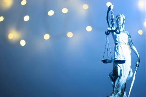 Getting Involved in Human Rights - The Advocates for Human Rights