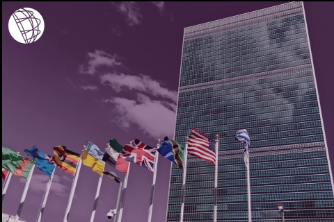 Home - The Advocates for Human Rights